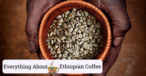 Everything About Ethiopian Coffee Guide And List Of The Best