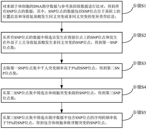 Method And Device For Detecting Somatic Cell Snp Eureka Patsnap