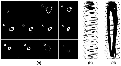 A Rapid Three Dimensional Reconstruction Method From Multi Material