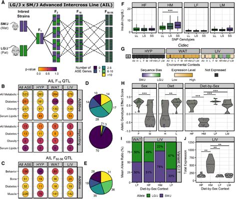 Integrating Ase And Qtl Data Reveal Cidec As A Candidate Gene For Download Scientific Diagram