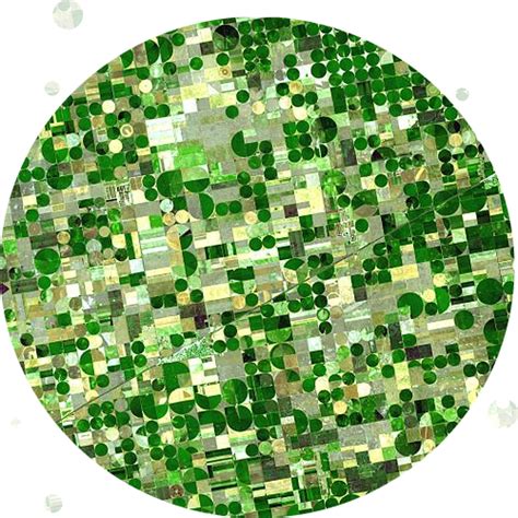 road segmentation