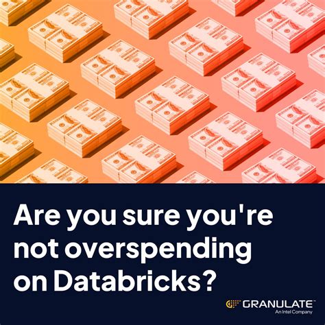 intel granulate on linkedin databricks pricing model explained 2024