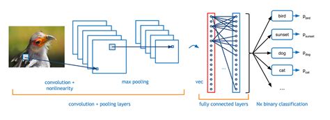 Non Binary Image Classifying Cnn Tutorial 5 Categories With Keras