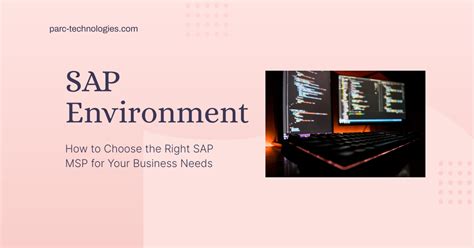 Sap Environment How To Choose The Right Sap Msp For Your Business