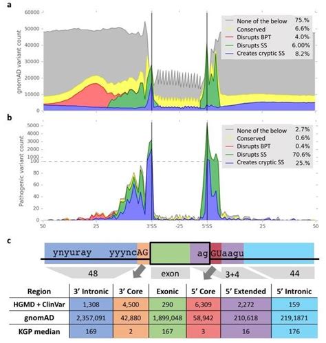 distribution of rare noncoding variants in the splicing region we