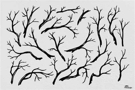 Tree Branch Vector At GetDrawings Free Download
