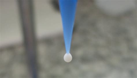 Cell Encapsulation In An Alginate Matrix Drop Generation By Gravity