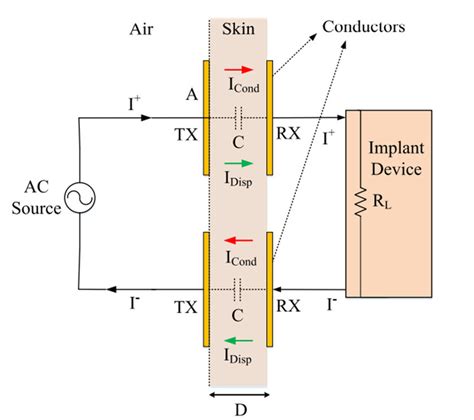 Capacitive Coupling Clamp Ccc Method At Sean Hawker Blog