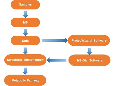 Methods Of Metabolite Identification Creative Bioarray