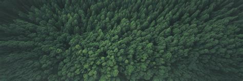 Synchronizing Disabled User Accounts Between Active Directory Domains Forest Using Powershell