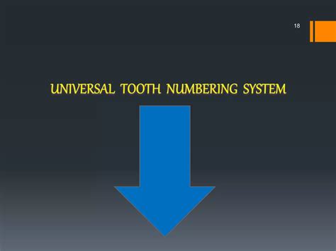 Tooth Numbering System PPTX