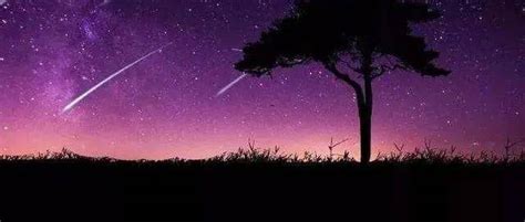 MySQL自增ID居然大部分人都搞错了 id insert name