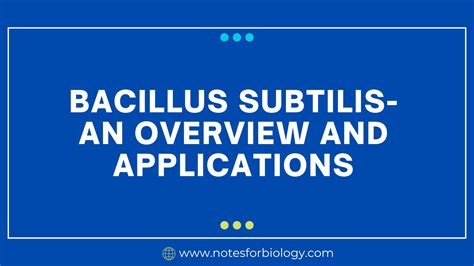 Bacillus Subtilis An Overview And Applications