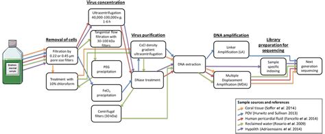 Basic Steps Of Viral Metagenomic Library Generation And The Strategies Download Scientific