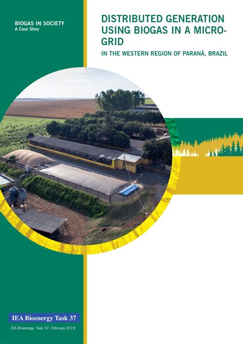 Distributed Generation Using Biogas In A Micro Grid Docslib