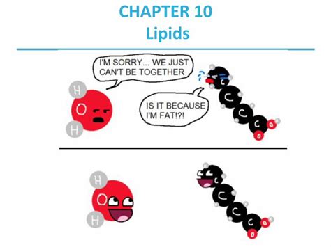 Pdf Chapter 10 Lipids Web Publishing · Pdf Filechapter 10 Lipids