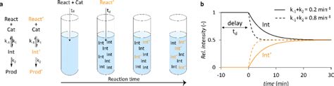 A Schematic Example Of A Delayed Reactant Labeling Drl Experiment In Download Scientific