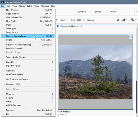 Solved Cannot Open Tif In Cr Adobe Community 15117301