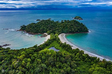 Why Is Snorkeling In Manuel Antonio A Must Do Experience Town Of