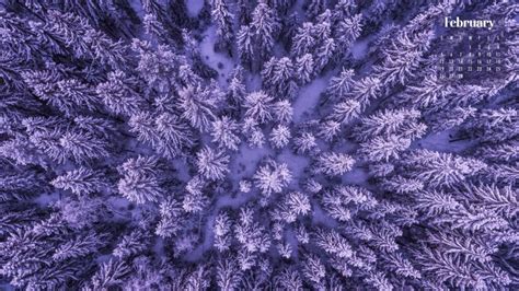 February Winter Backgrounds
