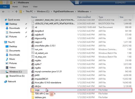 how to access middleware logs from server rightdata