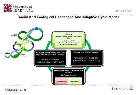 Resilience Of Complex Adaptive And Evolving Infrastructure Systems PDF Environment Science