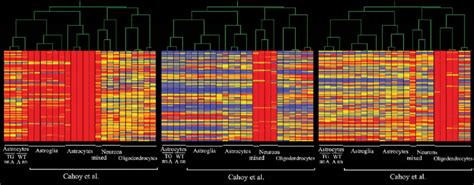 Microarray Results Clustered With Control Data The Data Set From Download Scientific Diagram
