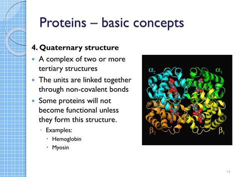 Ppt Protein Structure Primary Powerpoint Presentation