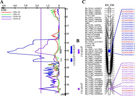 Co Localized Qtls For Gp And Gi On Chromosome C6 And The Annotation Of