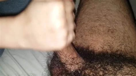 Free Hairy Blowjob Porn Videos Xhamster
