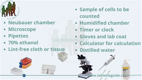 Hemocytometer Types Design Parts And Procedure For Cell 42 Off