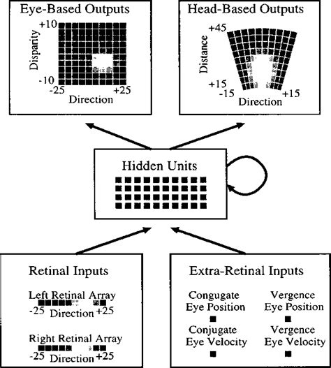 figure 1 from a model of visual spatial memory across saccades