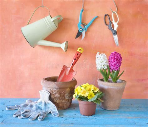 Gardening Tools And Young Hyacinth Flower Stock Image Image Of