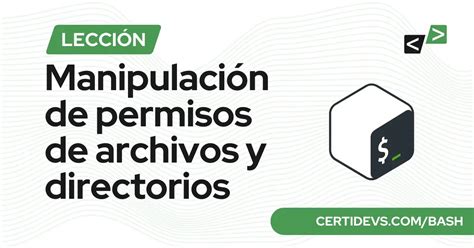 Bashshell Manipulación De Permisos Con Chmod Chown Y Chgrp