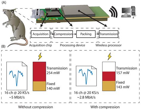 Low Power Lossless Data Compression For Wireless Brain Electrophysiology