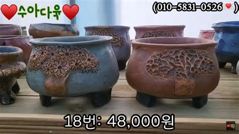 판매완료입니다🤗감사합니다💕 ♥️수아다육♥️ 중고화분특가2탄5만원이상 무료배송🚛다육식물 다육이 다육 다육이키우기