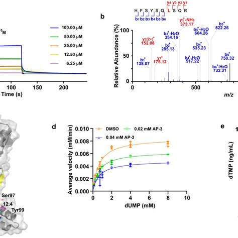 Ap 3 Targets Fdts Responsible For The Dtmp Formation For Dna Download Scientific Diagram