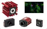 Product Catalog Thorlabs