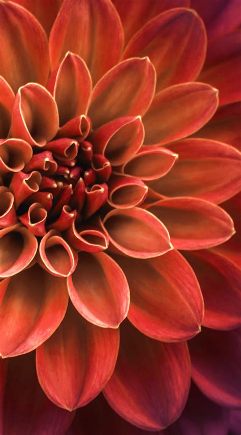 Autorabit Guard Automated Data Classification Transforms Compliance