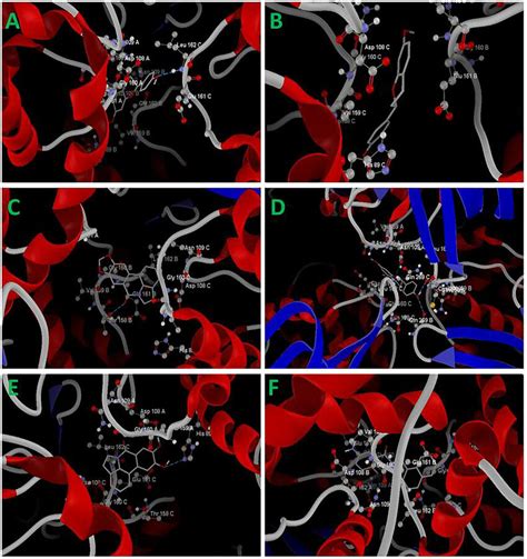 Docking Pose Showing Molecular Interactions Between Compounds From C Download Scientific