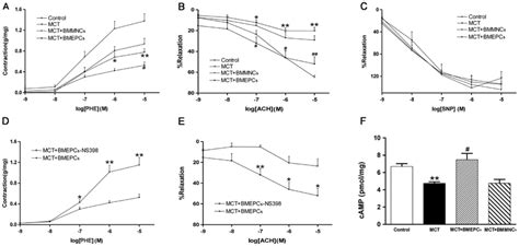 The Effects Of Bmepcs On Pulmonary Vascular Reactivity A Phe Induced