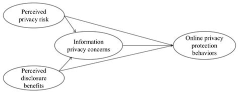 Sustainability Free Full Text Effects Of Perceived Privacy Risk And Disclosure Benefits On
