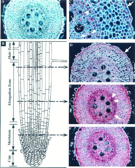 课程门户 章节详情