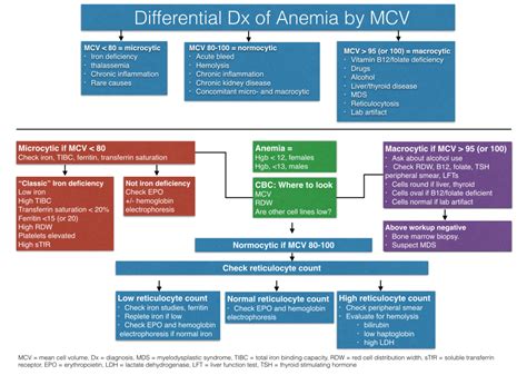 Anemia Algorithm Watto The Curbsiders