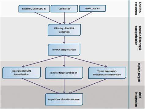 Diana Lncbase Analysis Pipeline The Best Available Lncrna Resources Download Scientific