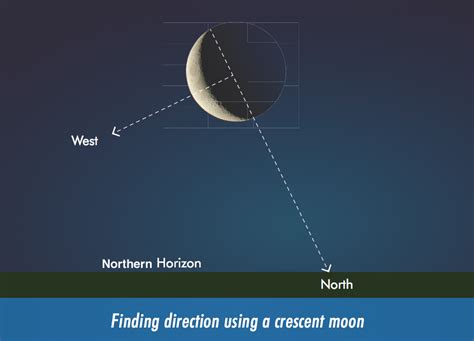 Navigation And Finding Your Way A Critical Skill Bushcraft Survival Australia