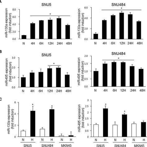 Identification Of Mirnas Targeting Runx3 Under Hypoxic Conditions A