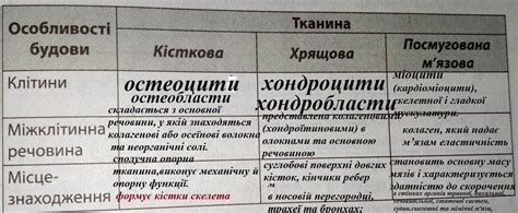 заповніть порівняльну таблицю тканин Школьные Знания Com