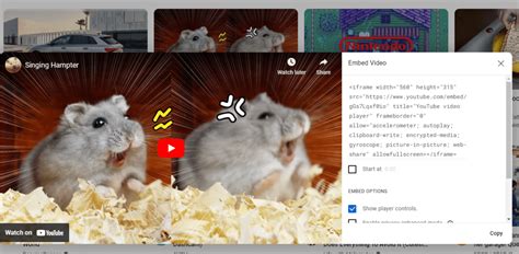 programmiere eine webseite html and css für anfänger