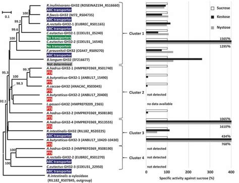 Characterization Of Fructooligosaccharide Metabolism And